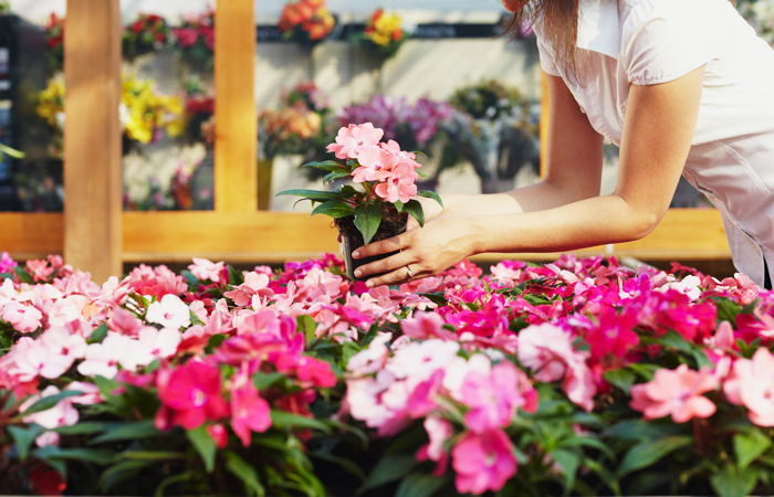 The Benefits of Proper Flower Care | The Koch Blog