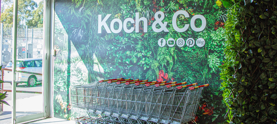 The Evolution of Koch & Co - The Papas Family | The Koch Blog