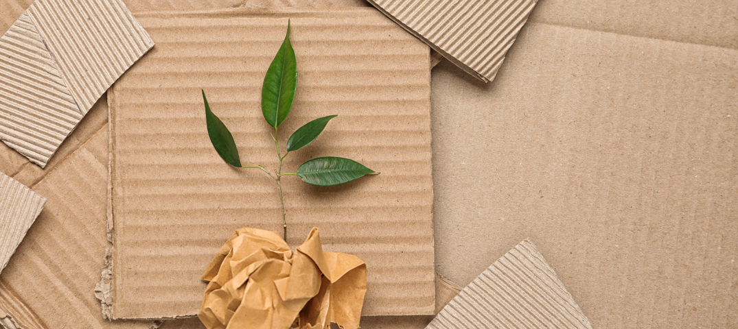 Our NEW Sustainable Packaging Solutions & Upcycling Ideas! | The Koch Blog